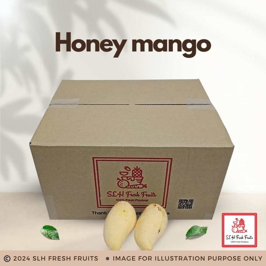 SLH Honey Mango Carton Sale(9kg) | Shopee Singapore