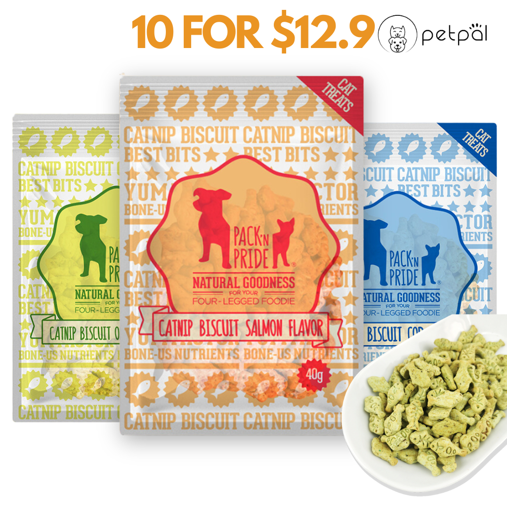 PackNPride Catnip Snacks with High Nutrition For Cats 40g | Cat Snacks ...