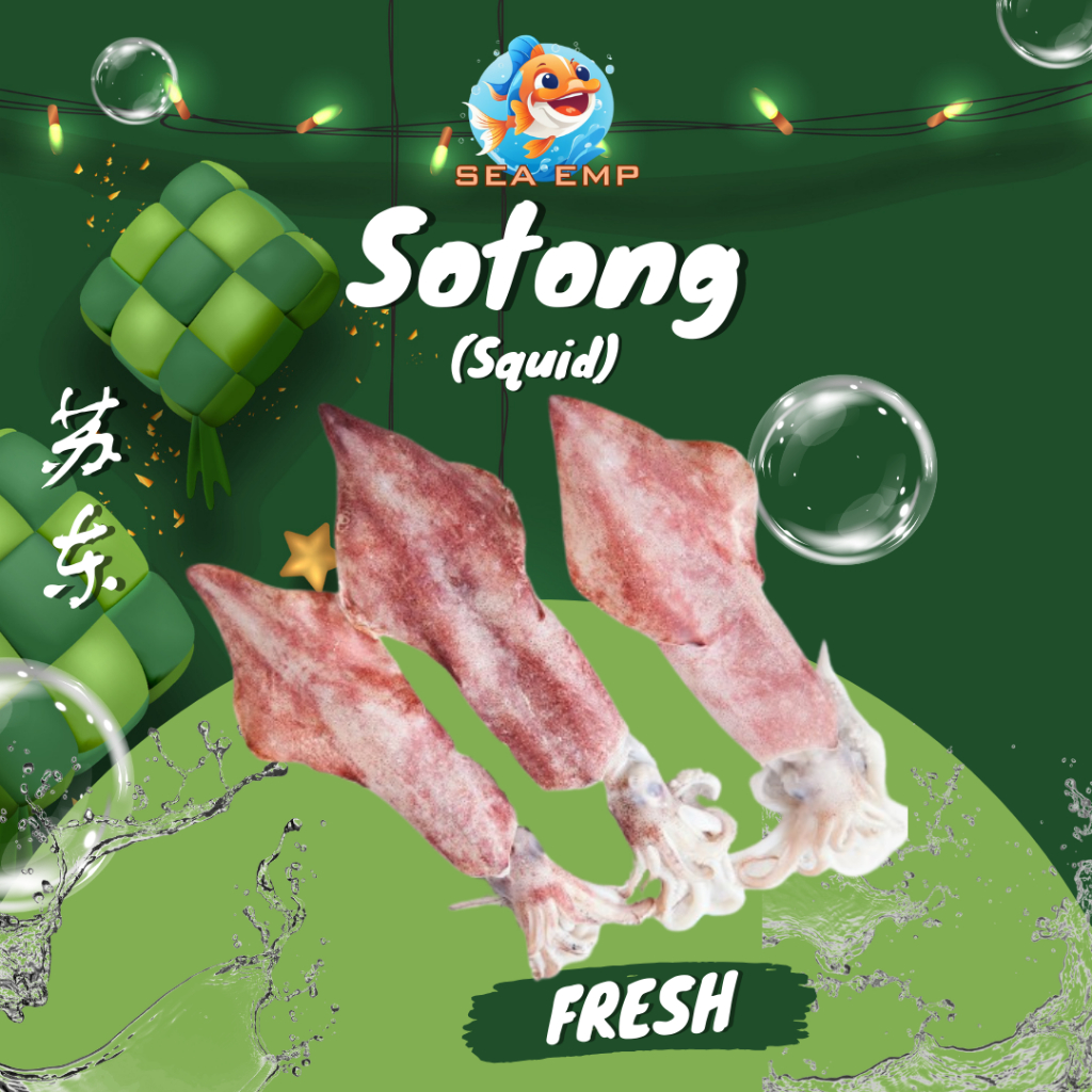 [SEA EMP] Fresh Sotong Squid 500g/1kg 苏东 | Shopee Singapore
