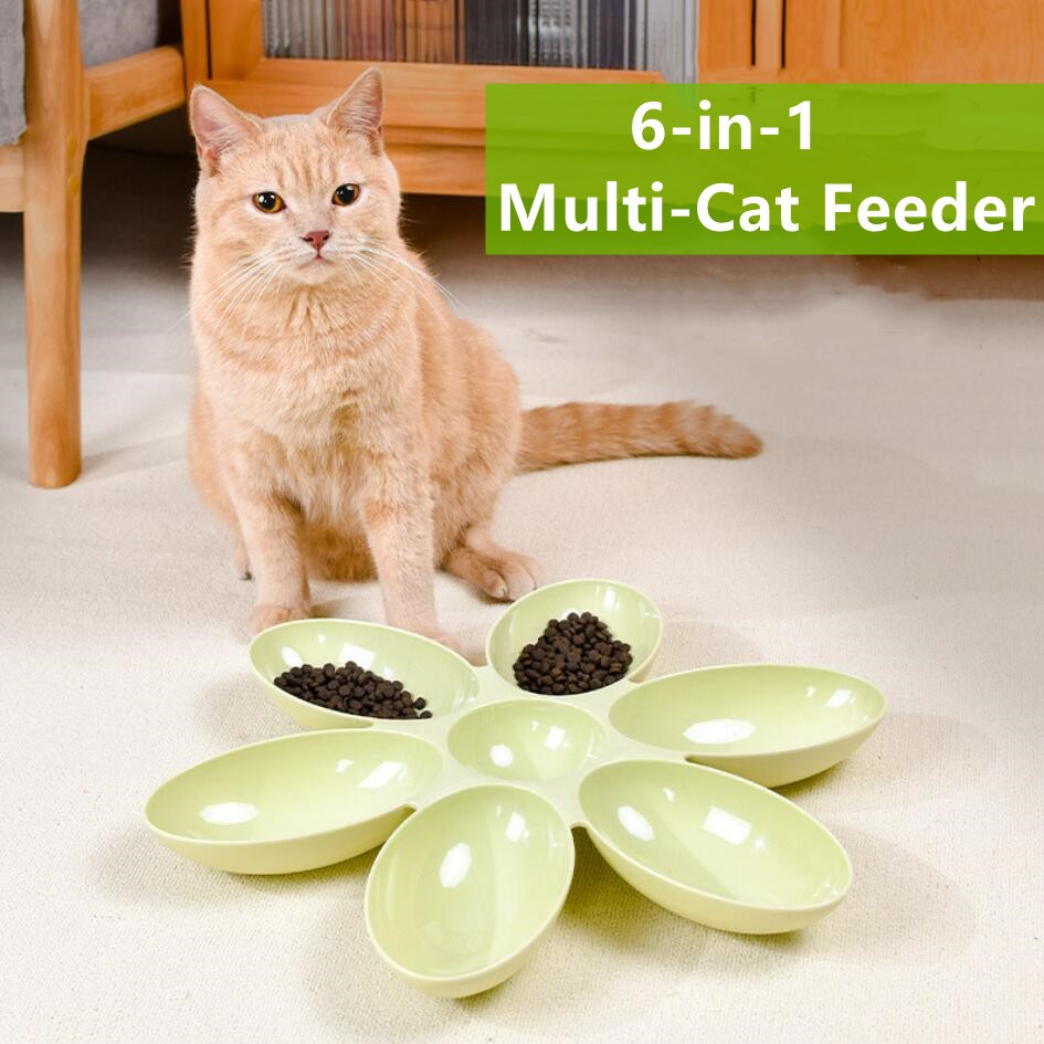 6 in 1 Pet Food Bowl Cat Feeder Multi-Cat Feeder Cat Supplies Multiple ...