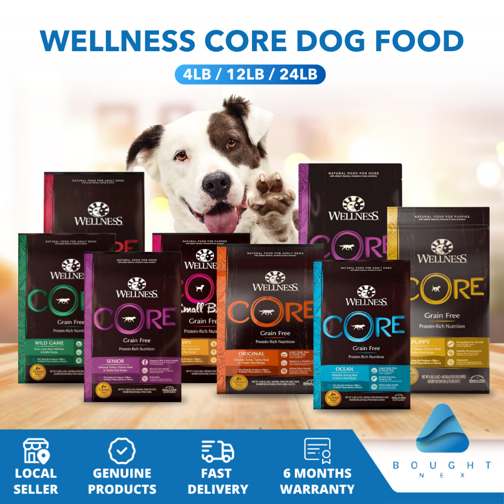 Wellness CORE Grain Free Premium Quality Formula Dry Food for Dogs 4lb ...