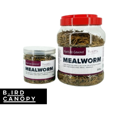 Nature Grains! Mealworm Dried Worm feed for fish and birds by Bird ...