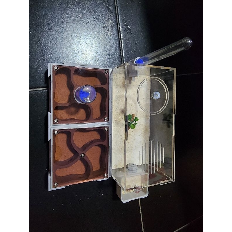 Ant Nest; Cube Module Flat Nest (Expendable Model); Built-In Water ...