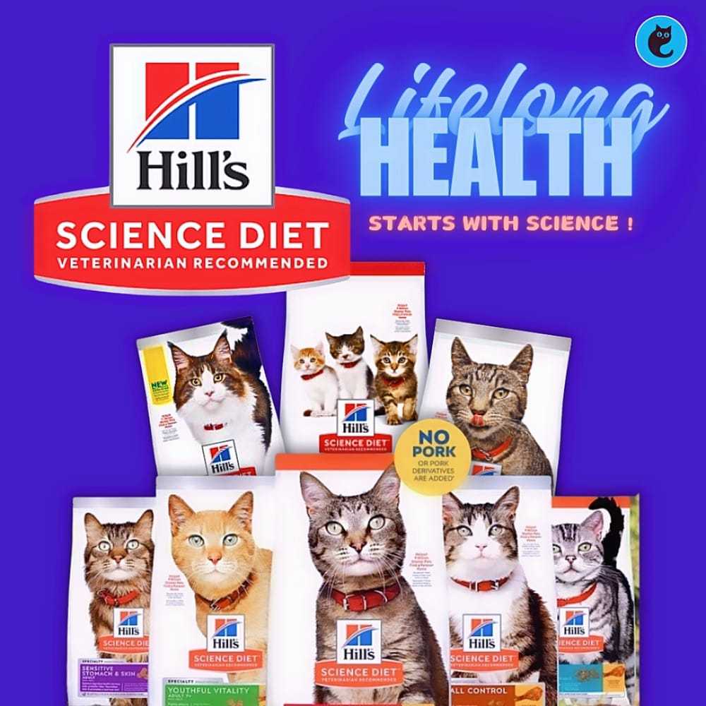Science Diet Feline Dry Food (Various sizes available) | Shopee Singapore