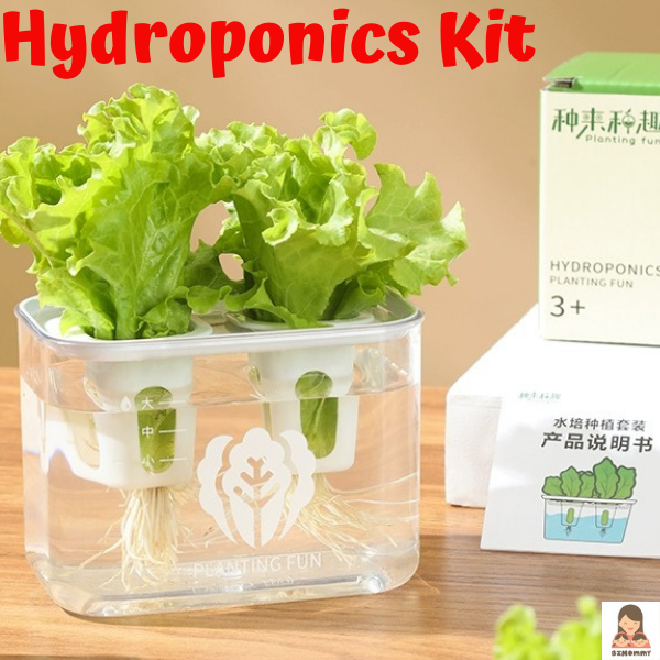 Mini Hydroponic Plant Kit Reusable | Office Indoor Hydroponics Pot ...