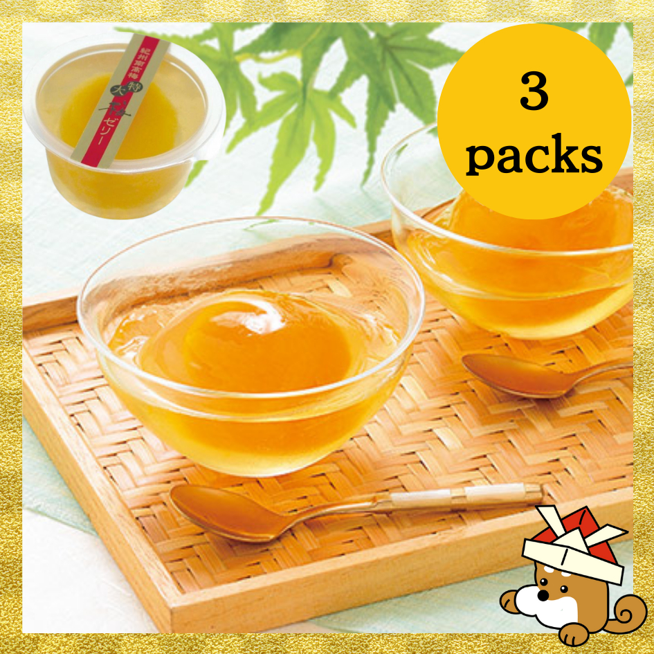 Extra-Large Kishu Nankou Ume Plum Jelly 120g x 3packs 【Direct from Japan】 | Shopee Singapore