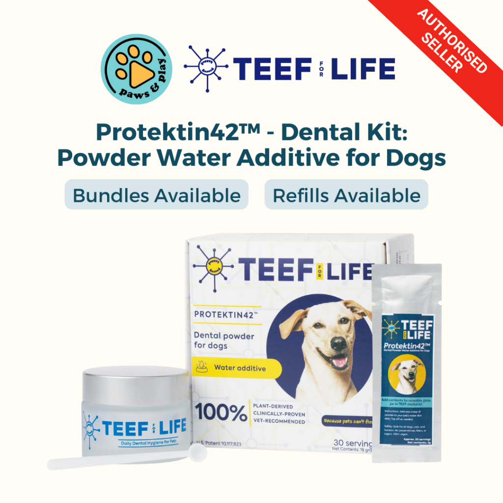 TEEF for Life - Protektin42™ Dental Kit: Powder water additive for dogs ...