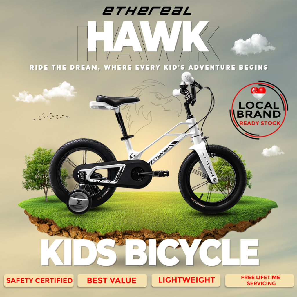 🇸🇬 Ethereal Hawk Children Kids Bicycle Bike Magnesium Alloy 14 ...