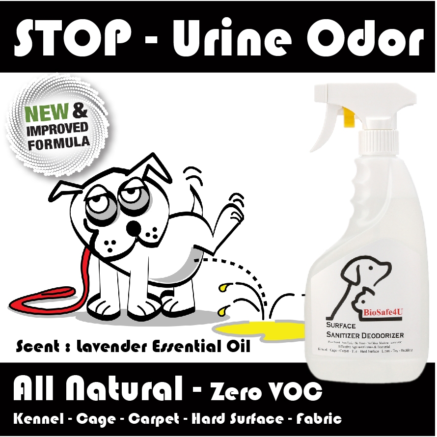 BioSafe4U Get Rid of Urine Odor, Surface Sanitizer, Odor Remover ...