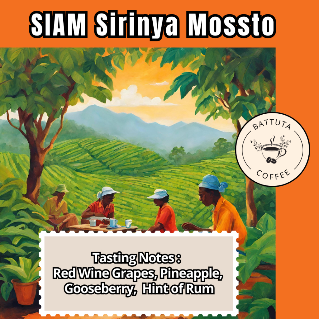 [Battuta Coffee] Siam Sirinya Mossto - 100% Arabica | Shopee Singapore