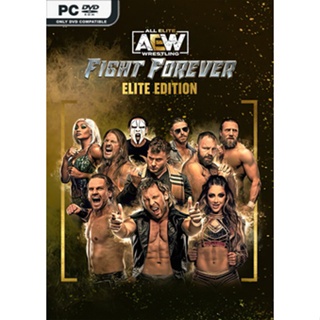 AEW FIGHT FOREVER V1.09(latest version) (offline PC) | Shopee Singapore