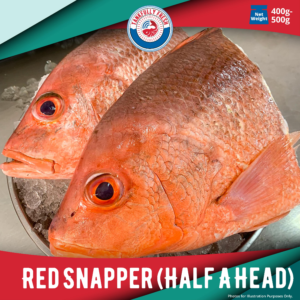 [Tankfully Fresh] LIMITED PROMO! Frozen Red Snapper 冰冻红鸡头 (Half a Head ...