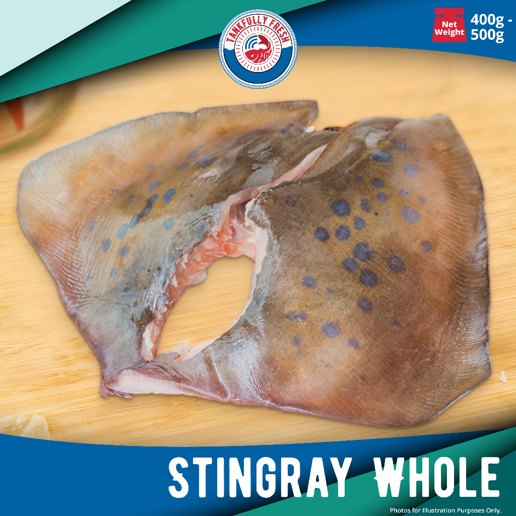 [Tankfully Fresh] Frozen Stingray (whole) 冰冻小魔鬼鱼 (400g - 500g) | Shopee ...