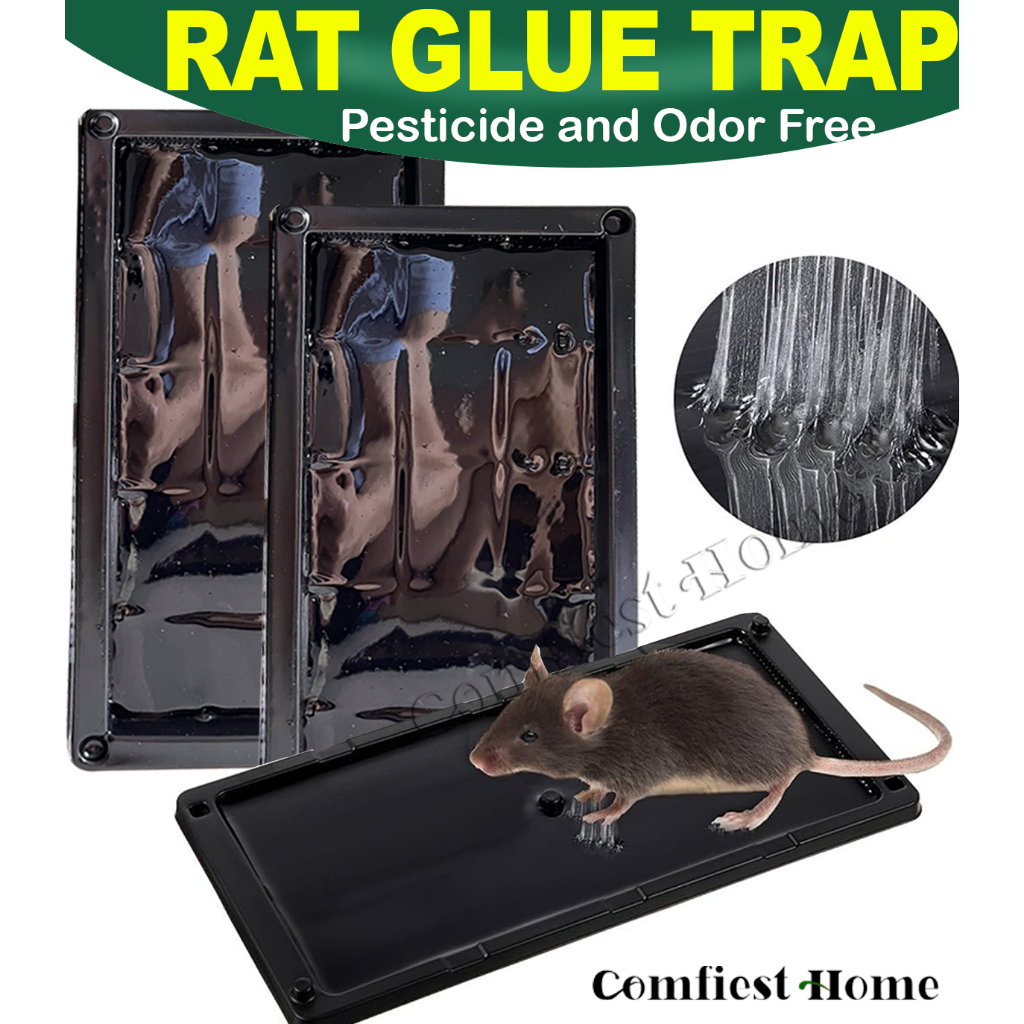 [SG Ready Stock] (2PCS Bundle) Strong Sticky Mouse Traps, Rat Glue ...