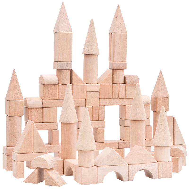 100pcs Beechwood Building Blocks Educational Toy for Children Kids ...