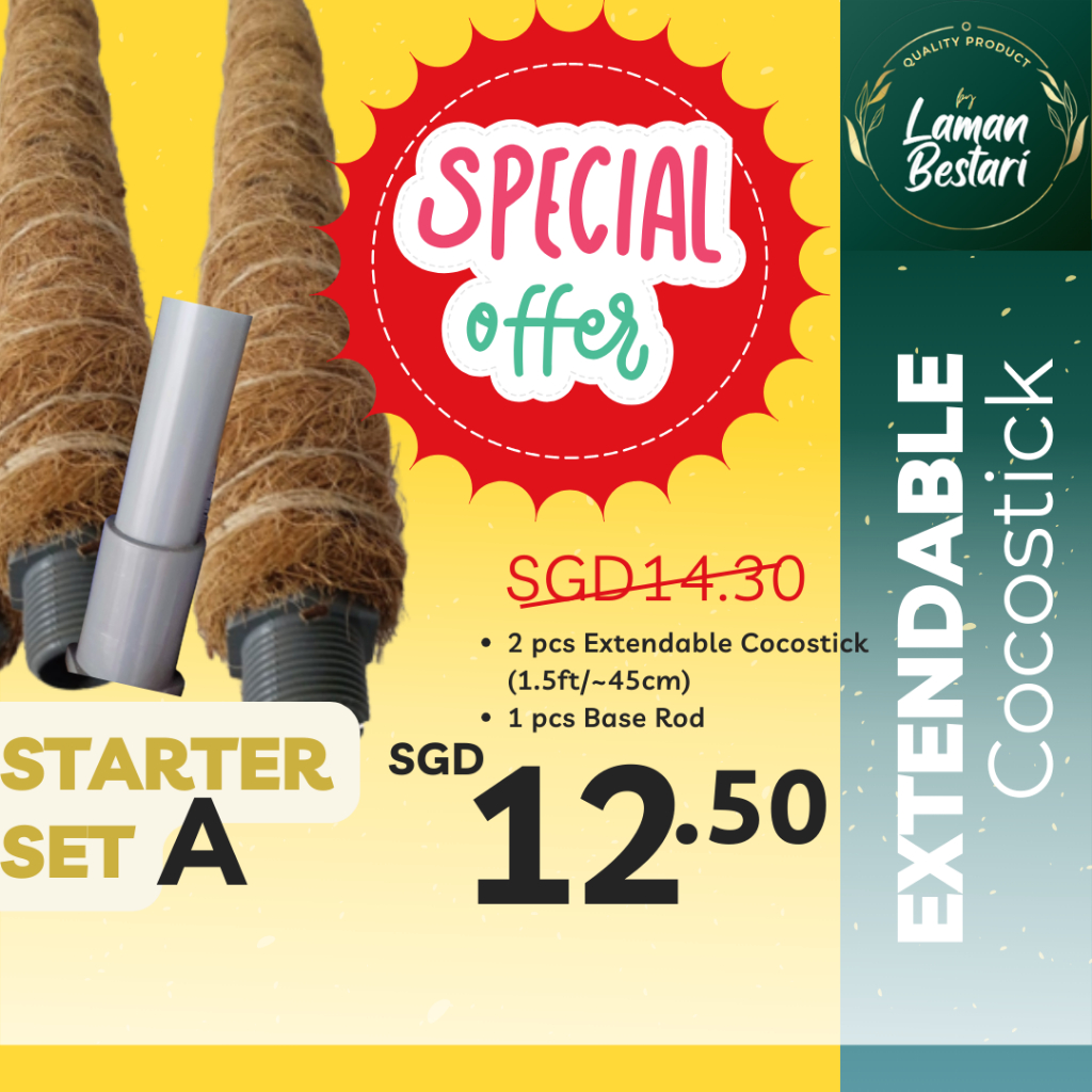 READY STOCK! Extendable Coco Pole | Tiang Sabut Kelapa Berkualiti ...