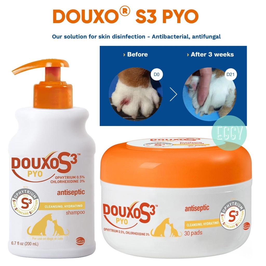DOUXO S3 PYO Shampoo & Antiseptic Pads for Pet Dog & Cat | Antifungal ...
