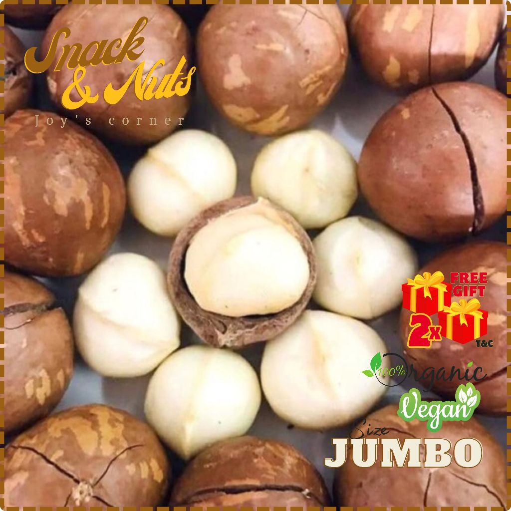 1kg Super BIG XXL Roasted Macadamia Natural taste NO SALT NO SUGAR in ...