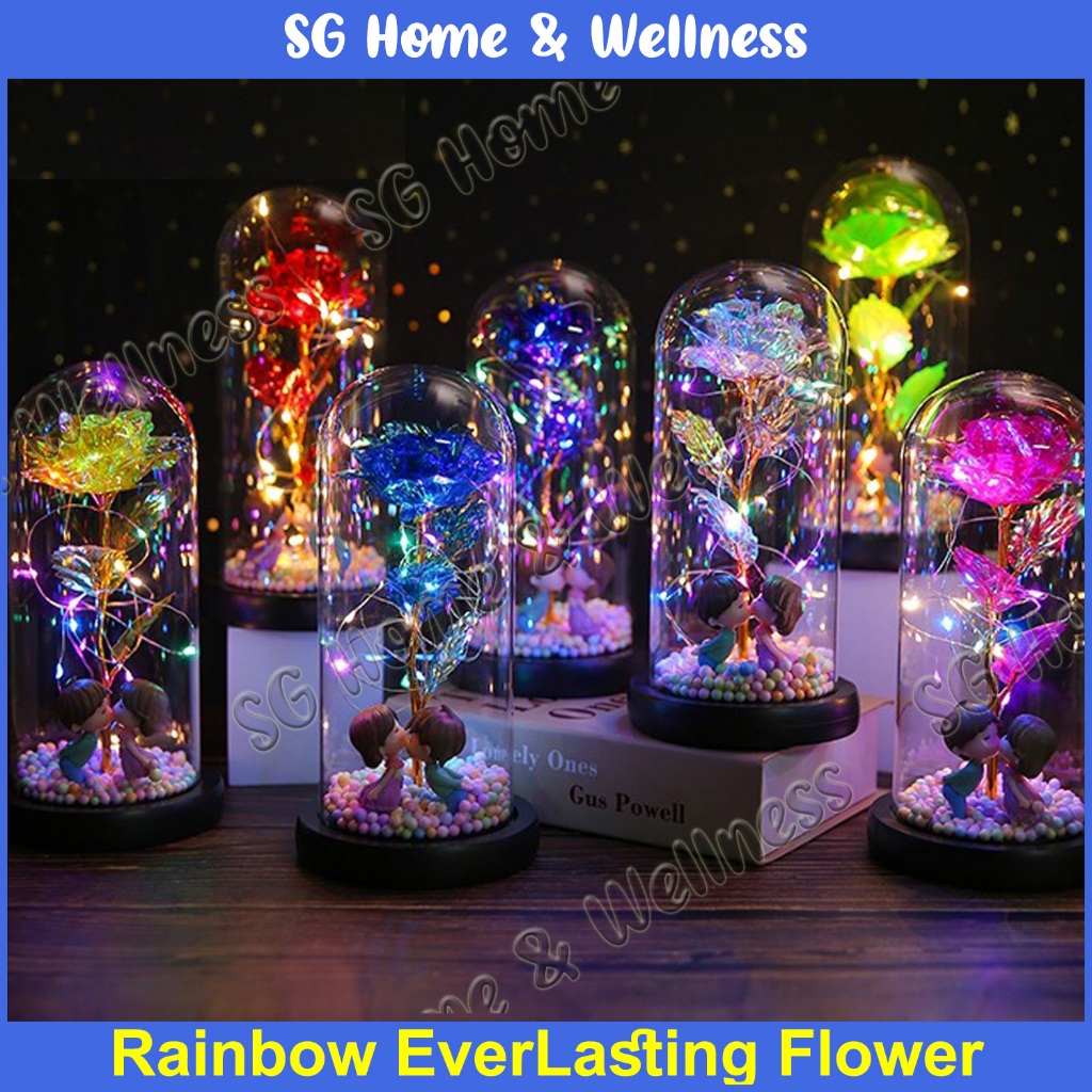 [Valentine's Day] Everlasting | Eternal | Rose | Flowers | Rainbow ...