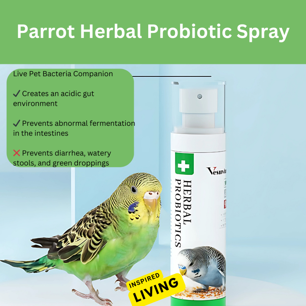 Parrot Herbal Probiotic Spray | Gut Health Supplement for Birds ...