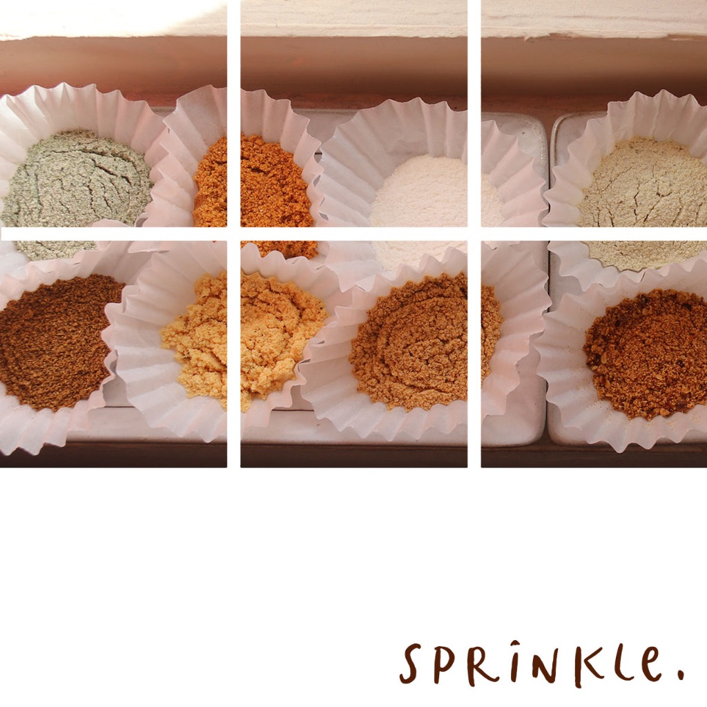 GRINDSTONE SG - SPRINKLES/SHAKER FRIES_50G_NO ADDED MSG | Shopee Singapore