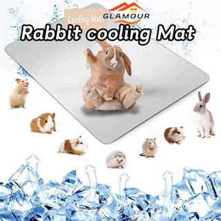 Glamour House, Online Shop | Shopee Singapore