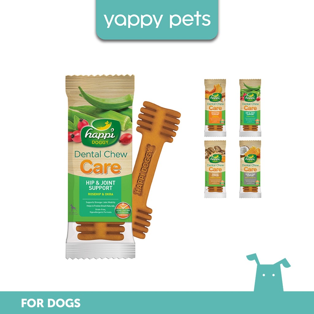Happi Doggy Care Regular 4-Inch Dental Chew 25g | Dog Treats | Now ...