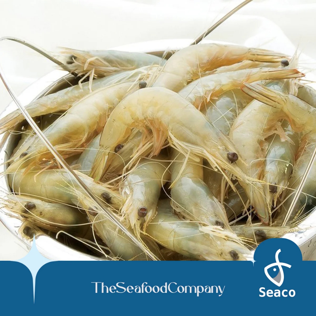 [SEACO] Frozen Red Sea Prawn [30-40] 800g | Shopee Singapore