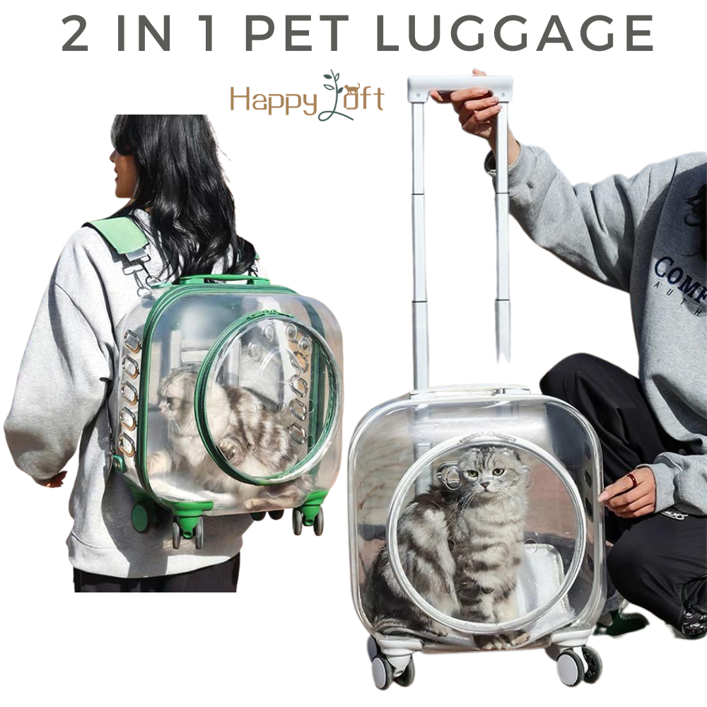 [SG SELLER] Large Pet Trolley Pet Carrier Cat Dog Travel Luggage Pet ...