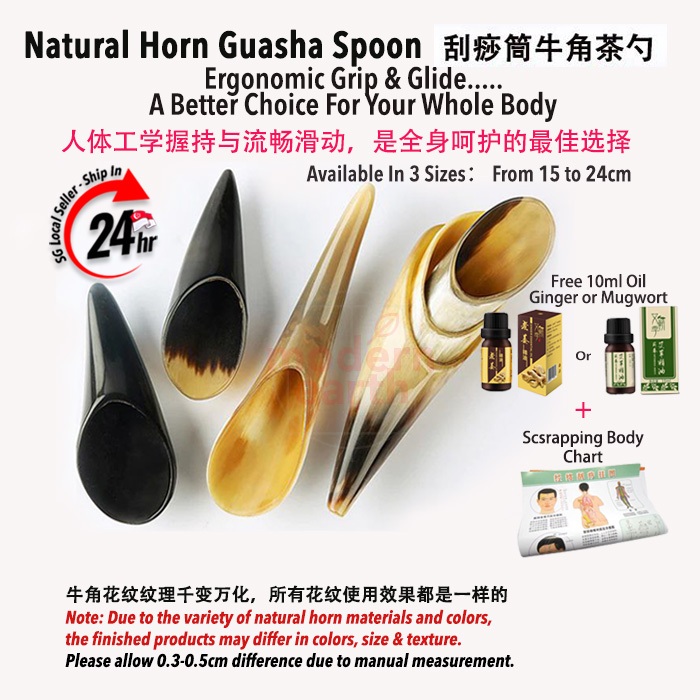 [SG ] Guasha Board Ox Horn Scraper Scrapping Plate Natural Horn ...