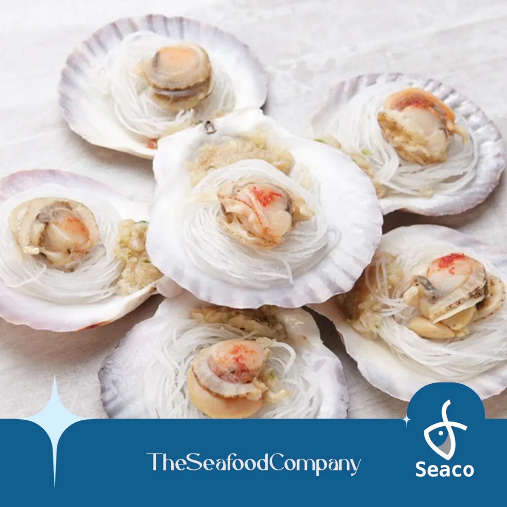 [SEACO] Japanese Scallop with Vermicelli | Shopee Singapore