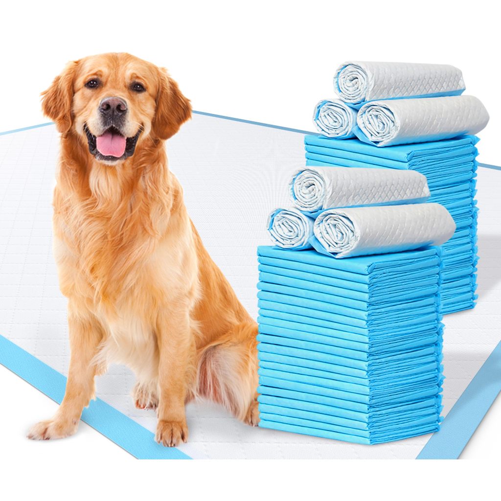 60*60 CM (40PCS) Pet Training Pads Disposable Pee Pad Dogs, Cats ...
