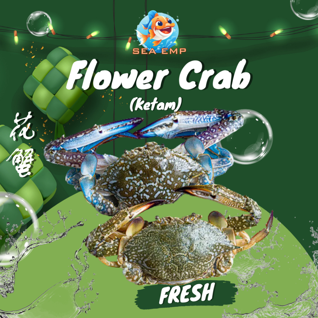 [SEA EMP] Fresh Flower Crab Ketam 500g - 1kg 花蟹 | Shopee Singapore