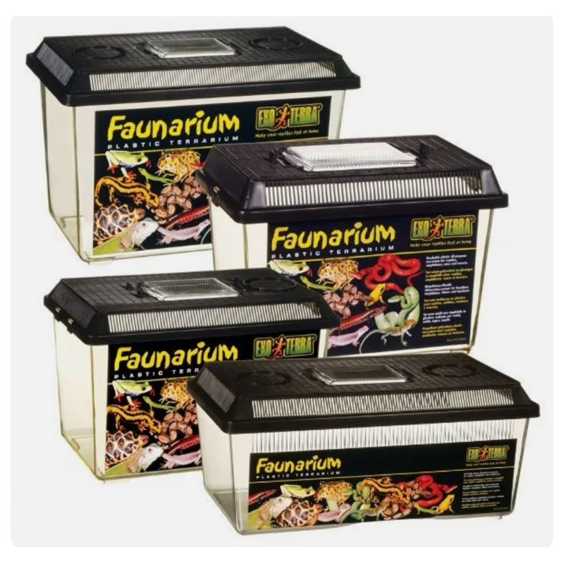 Exo Terra Plastic Faunarium FAUNARIUM PLASTIC TERRARIUM - STANDARD OR ...