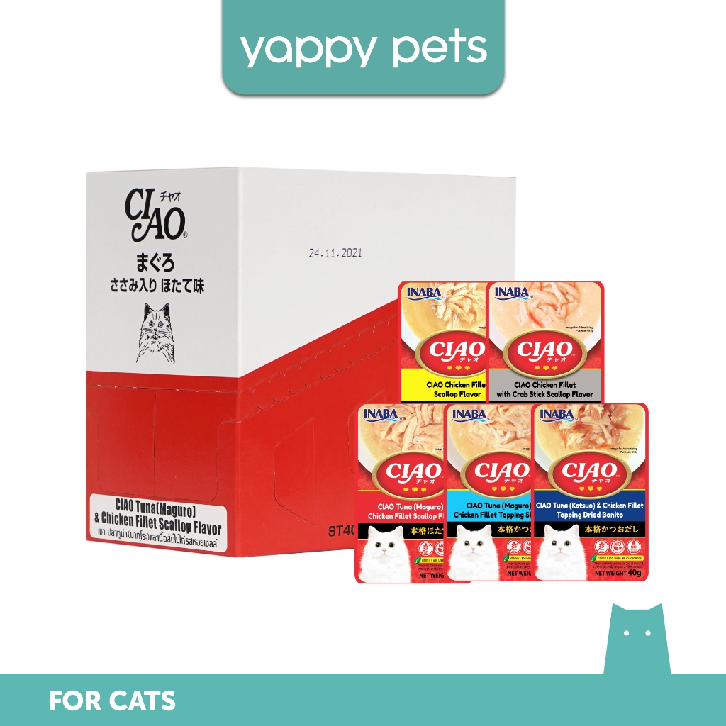 Ciao Creamy Soup Pouch Chicken Fillet Wet Cat Food (40g x 16) | Meal ...