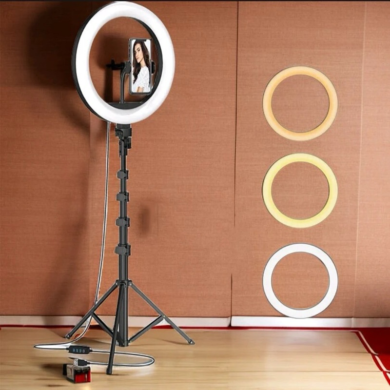 💟SG local 30cm Selfie Ring Light with Stand LED Ring Light for Video ...