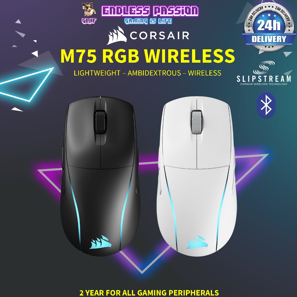 Corsair M75 Wireless RGB Lightweight FPS Gaming Mouse | Shopee Singapore