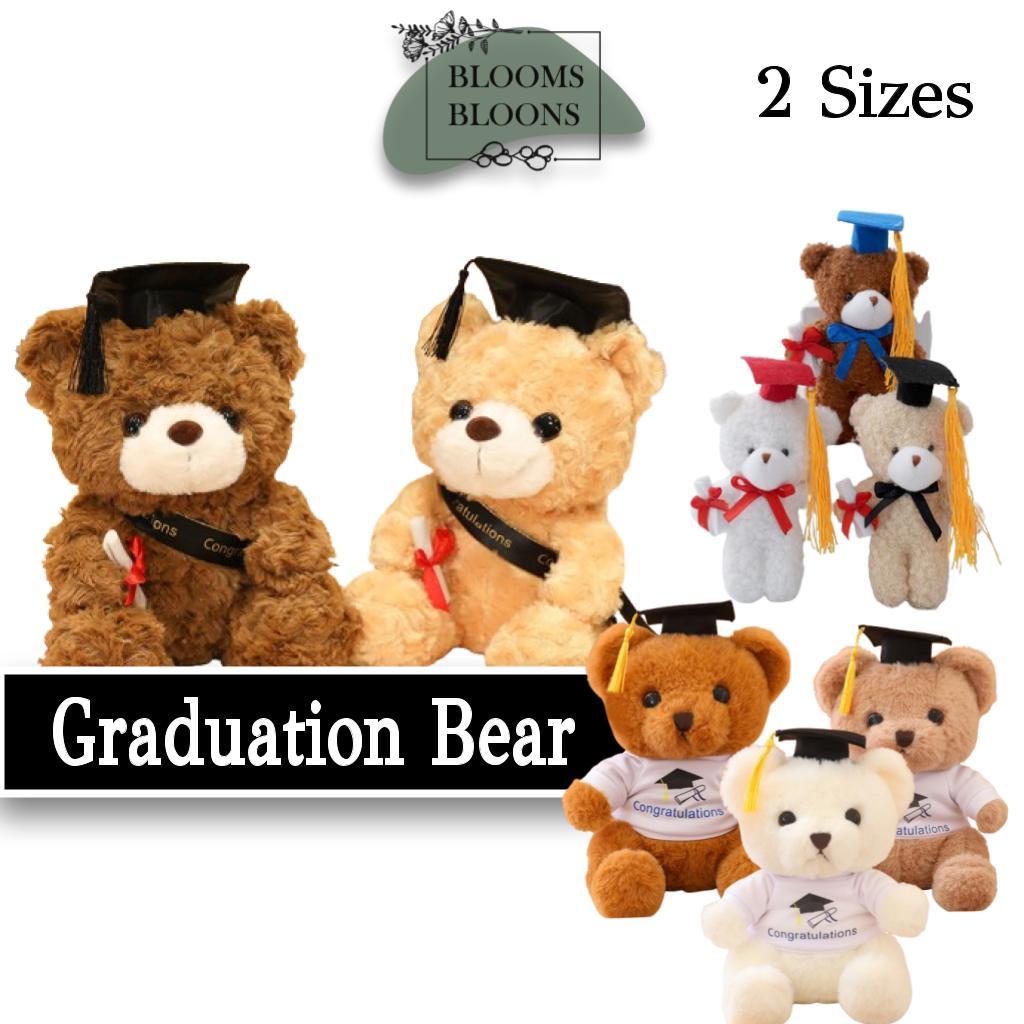 [SG Instock] Cute Graduation Bears Cute Soft Toy Bear Congratulations ...