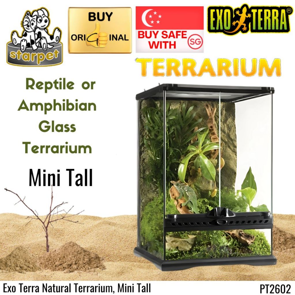 Exo Terra Mini Tall Terrarium (PT2602) | Shopee Singapore