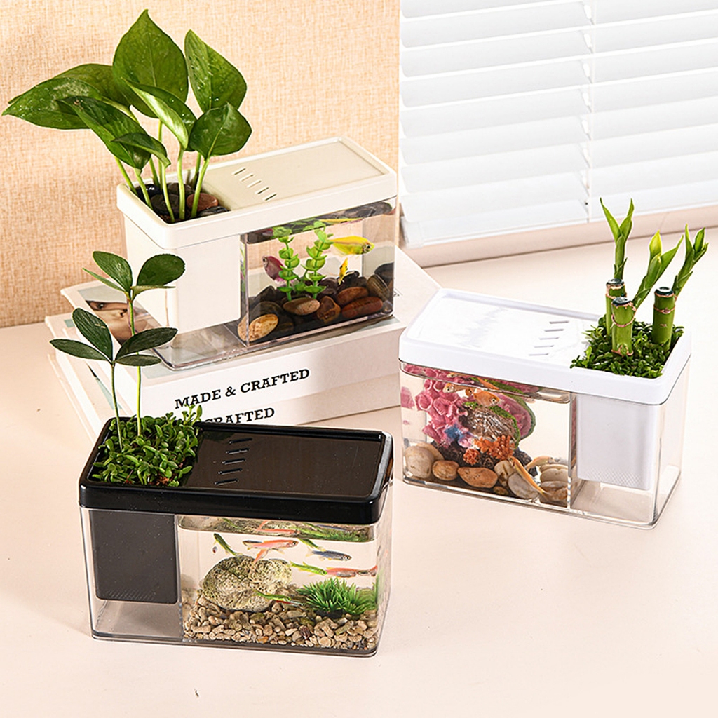 Fish Aquarium Mini Betta Aquarium Desktop Fish Tank Box Small Living ...