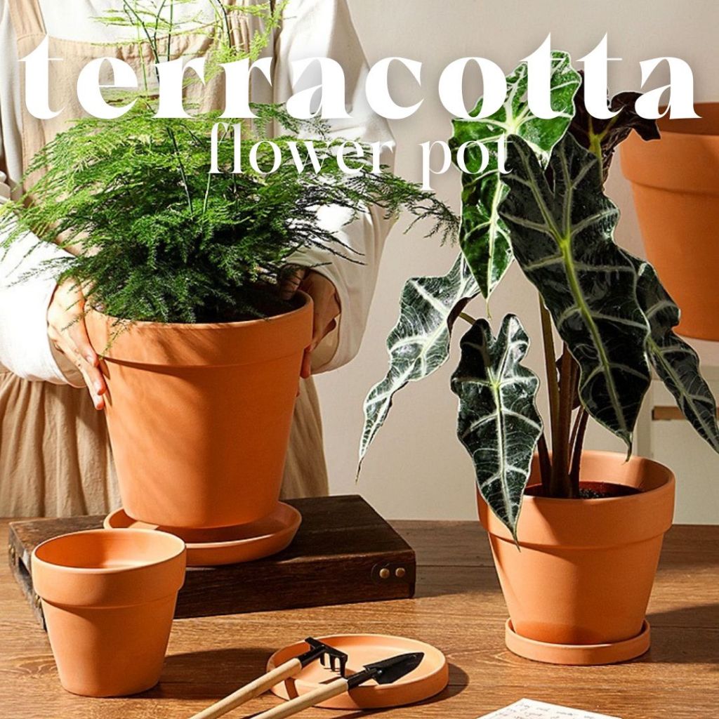 Bundle Set Terracotta Pottery Flower Pots | Red Pottery Pot | Porous ...