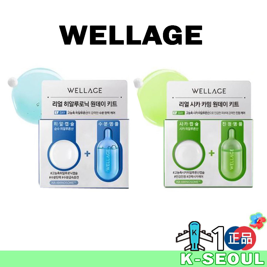 [K-Beauty] WELLAGE Real Hyaluronic One Day Kit Real Cica Calming One ...
