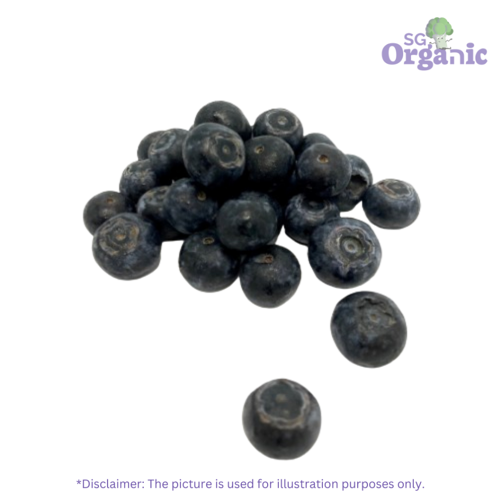 [SG Organic] Organic Blueberries (125g) Australia | Shopee Singapore