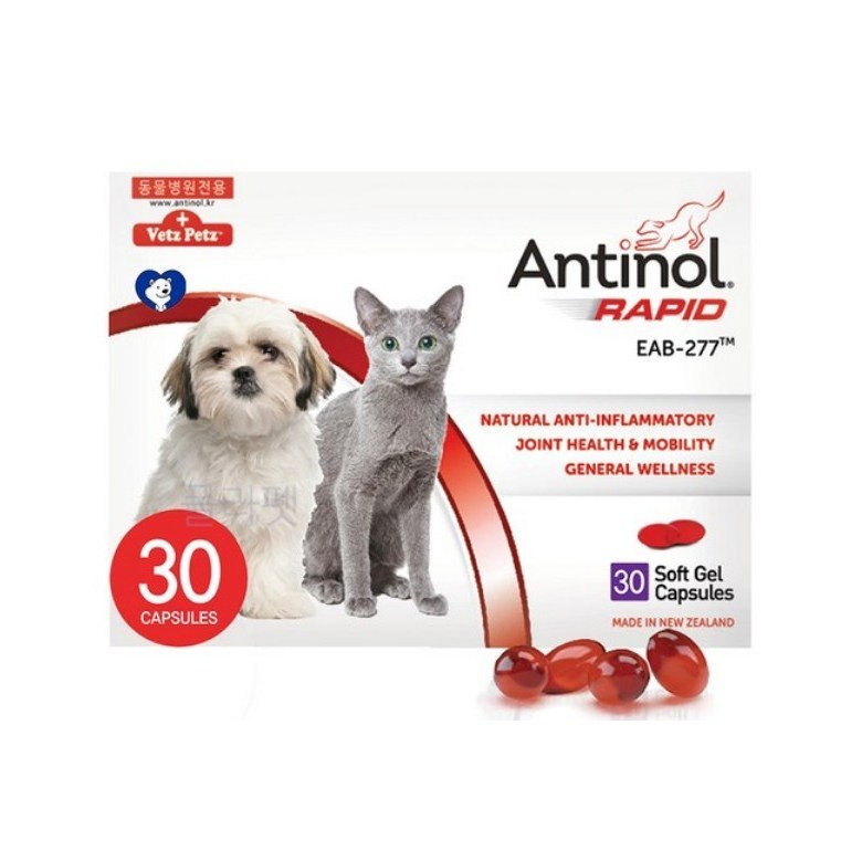 Antinol Rapid Joint Supplement for Dogs and Cats 30 Capsules | Shopee ...