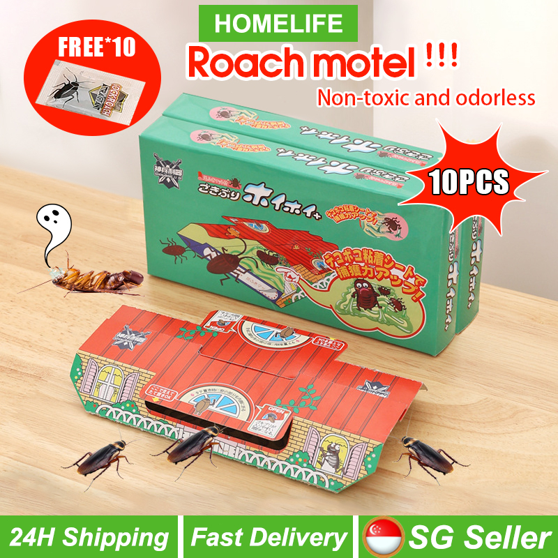 [SG Stock] 10pcs/box Motel Pest Trap Perangkap Lipas Cockroach Glue ...