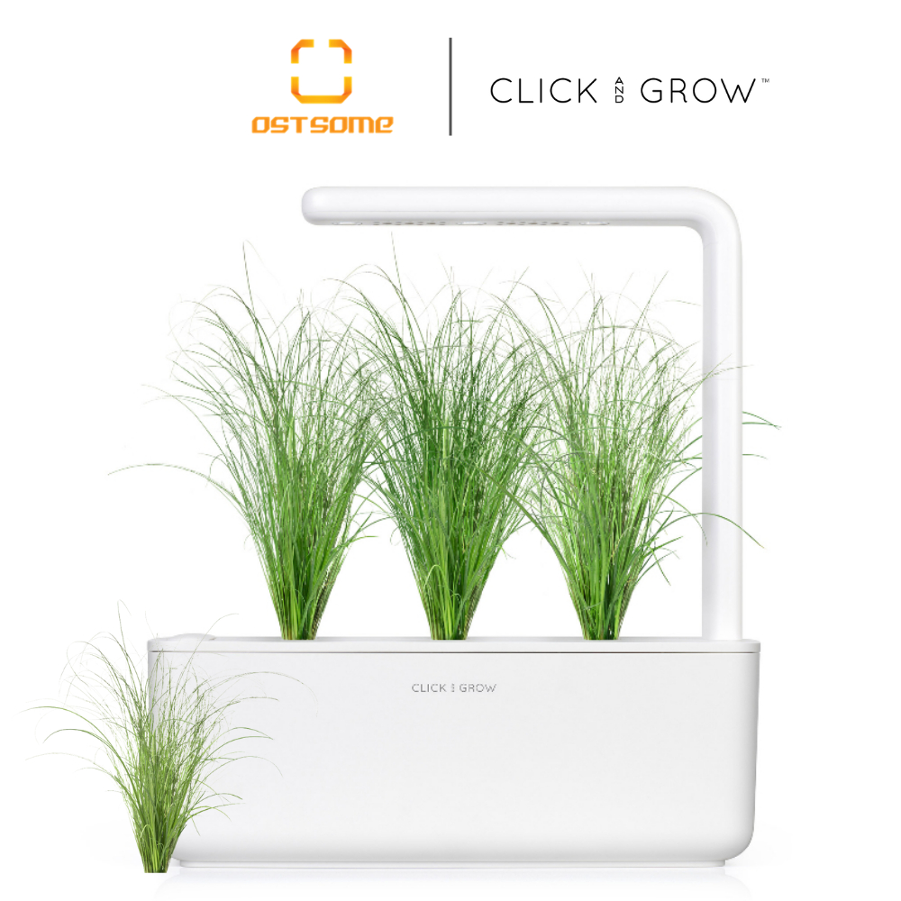 Click And Grow 3 Packs Plant Pods (Ornamental Grass) | Shopee Singapore