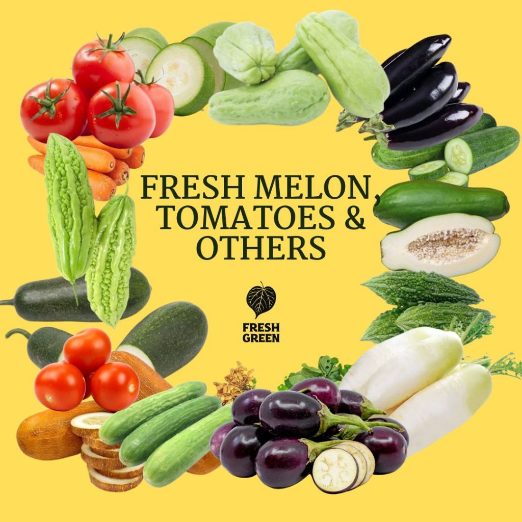 【FRESH MELONS, TOMATOES & OTHERS 新鲜瓜类，番茄和其他】Cucumber, Bitter Gourd ...