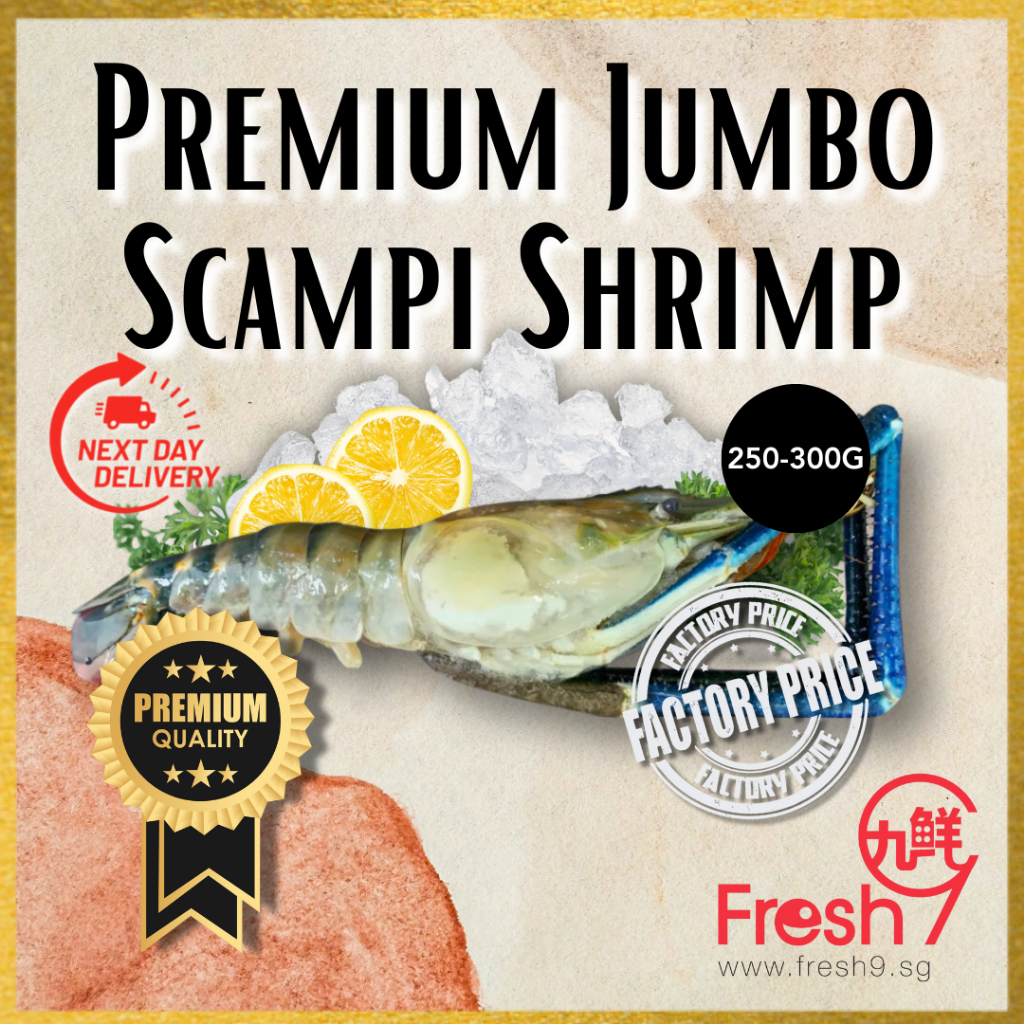 [Fresh9] Premium XXL Jumbo Scampi Shrimp U5 (River Prawn) Seafood ...