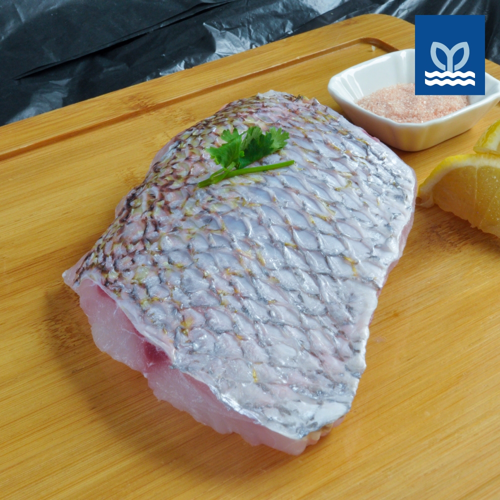 Prime Fresh - Fresh Sea Bream 红哥里 (Ang Go Li) 275G – 300G - Fillet ...
