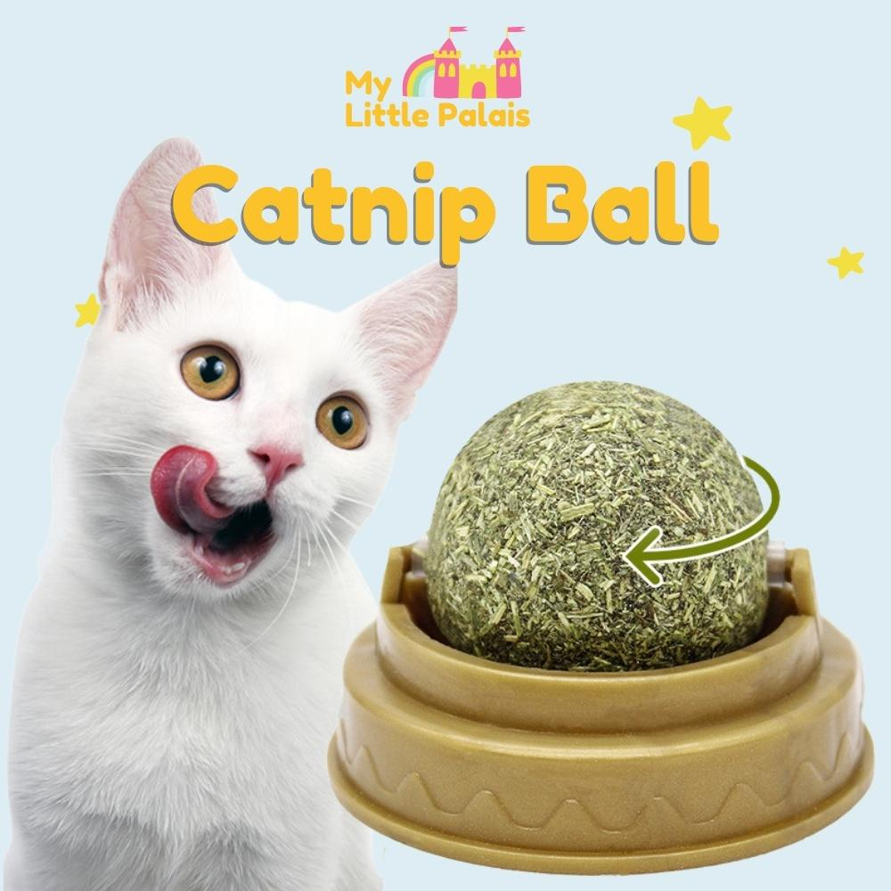 🇸🇬 Catnip Ball / Cat Toy / Interactive Cat Nip Ball | Shopee Singapore
